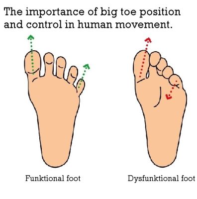 The importance of big toe